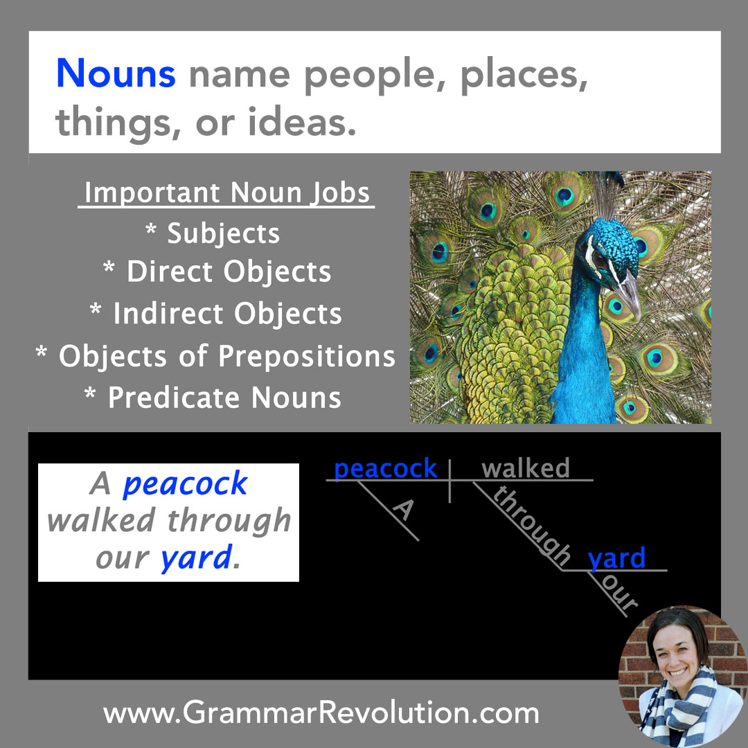 List of Nouns: Examples to Help You